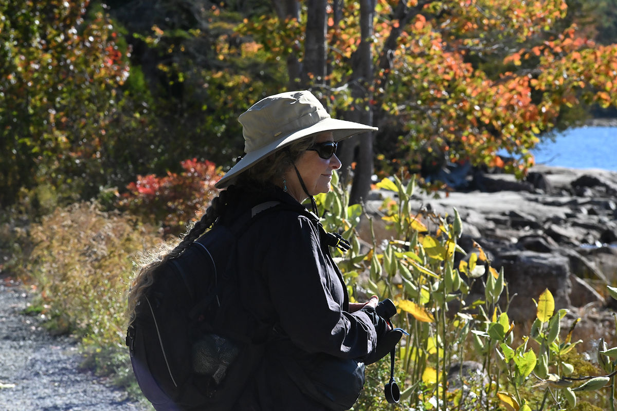 The Z5II is DPreview\'s recommended camera under 2,000 US$ - Nikon-mount SLRs - Photography - FM ...